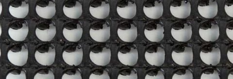 Jual Geonet | Harga Geonet | Supplier Geonet